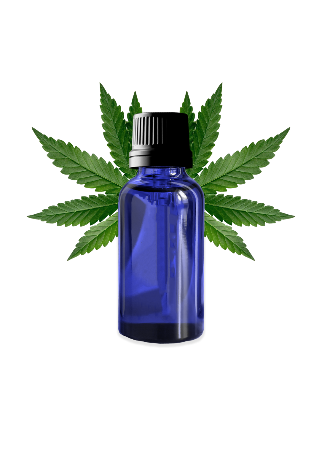 Purple Wreck - APEPI