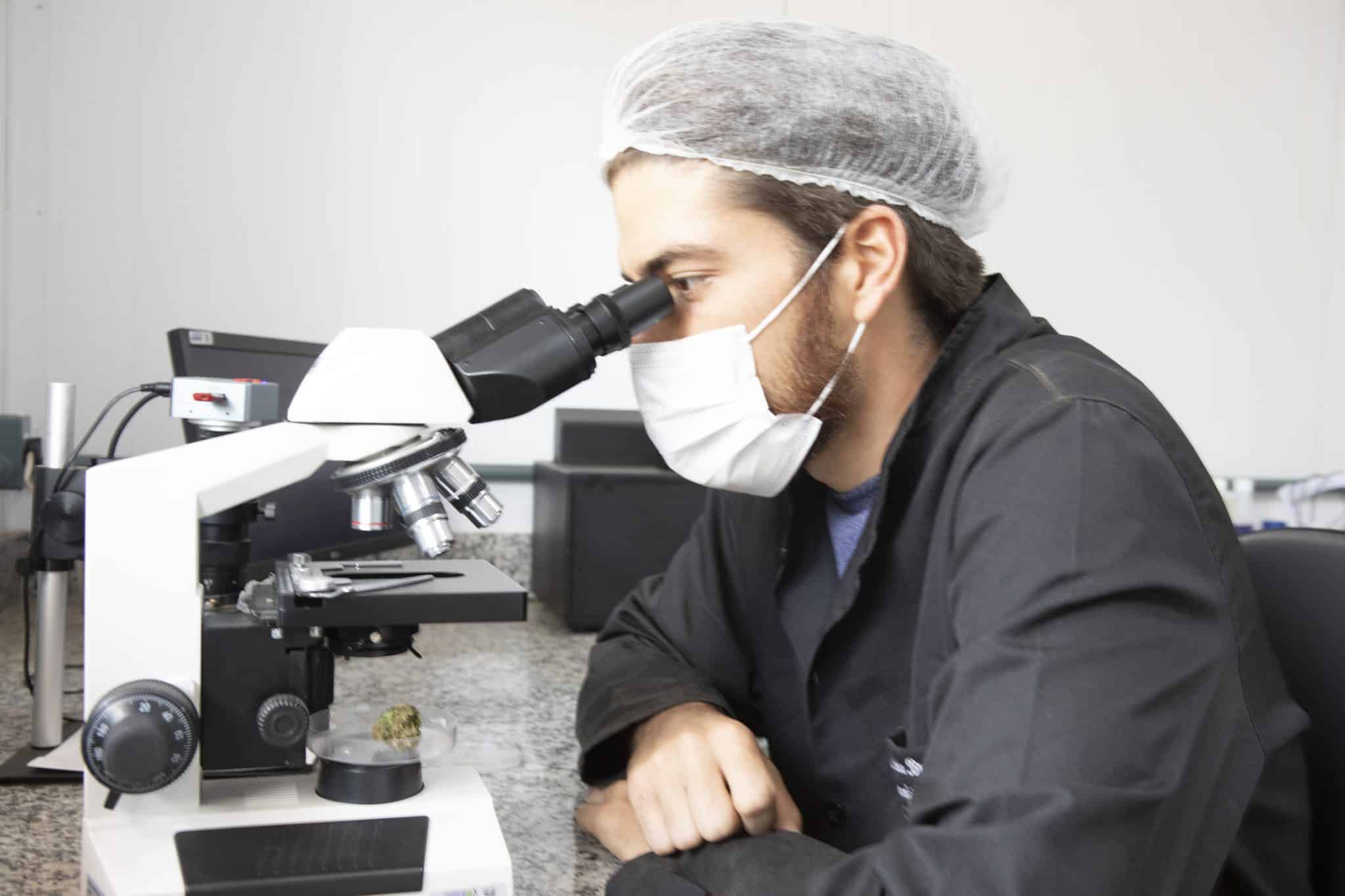 Canabivarina (CBV): Uma canabinoide a ser descoberto - APEPI